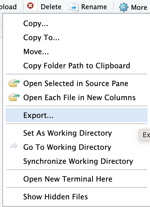 RStudio server instructions | STA 279, Fall 2025